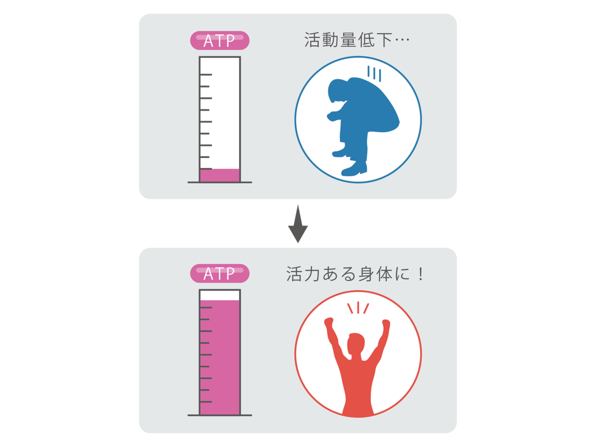 What is 5-ALA? - KIYAN PHARMA Co., Ltd.
