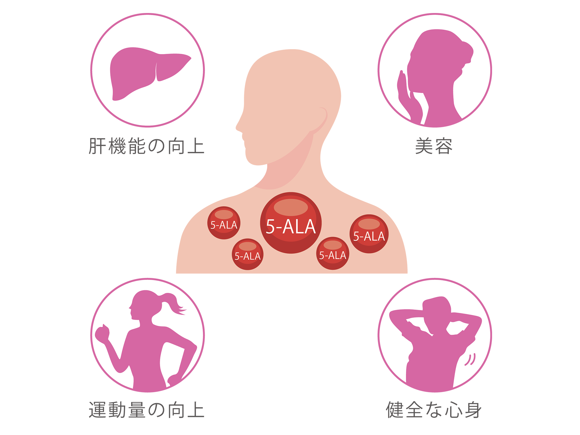 What is 5-ALA? - KIYAN PHARMA Co., Ltd.